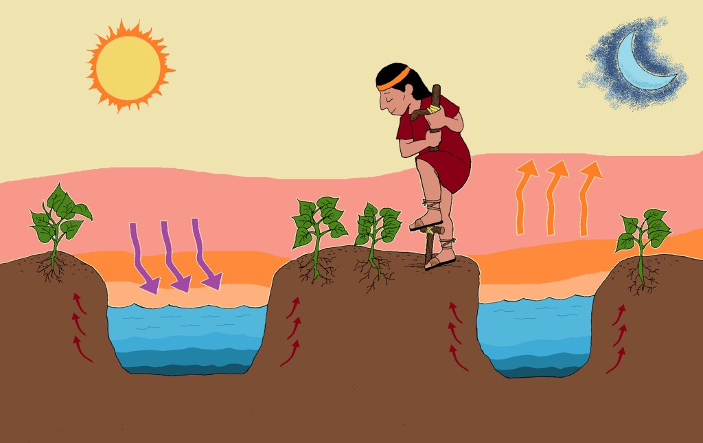 Uso ancestral del agua en el Perú | Hidráulica Inca