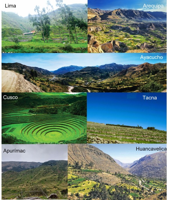 Infraestructura ancestral para el desarrollo futuro: Programa Nacional ...